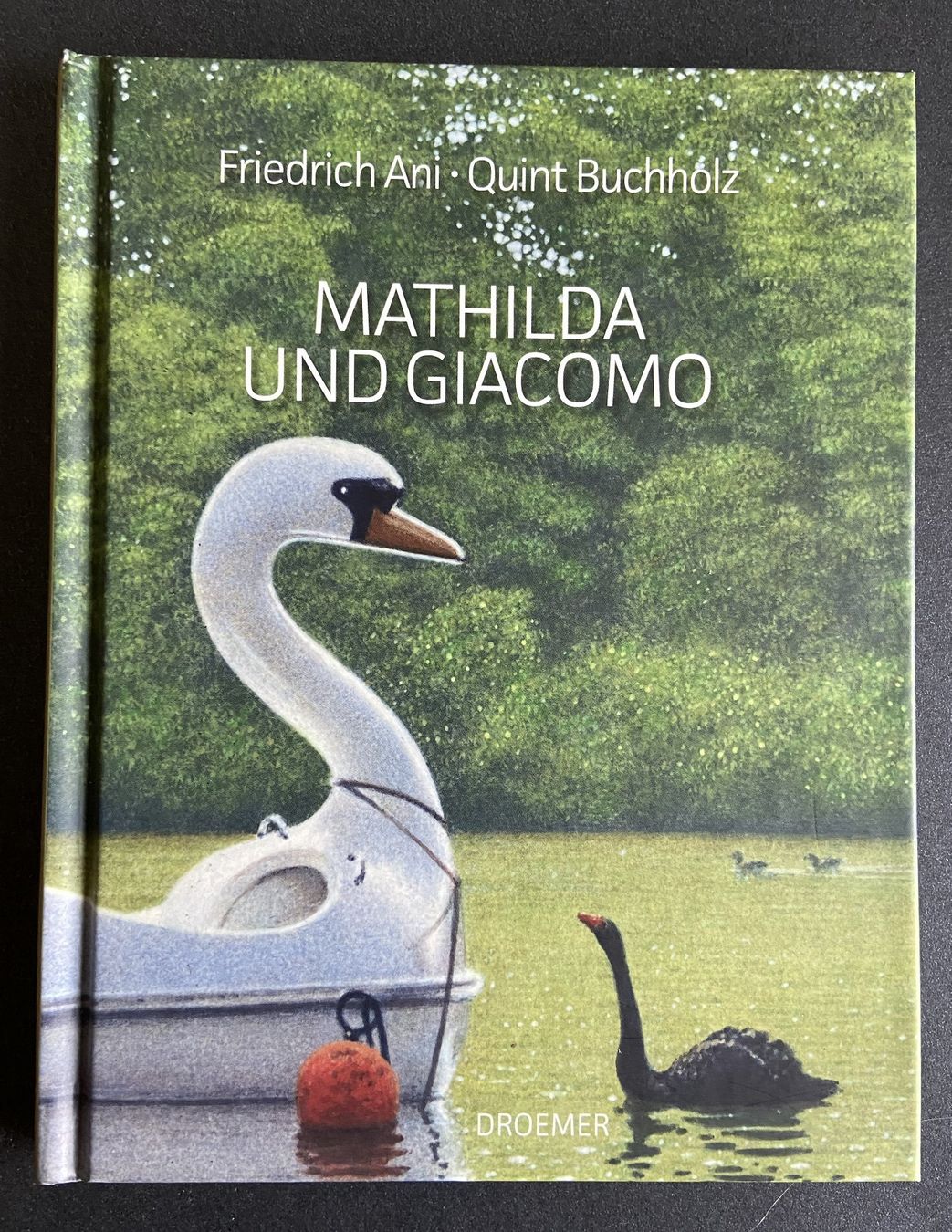 Buch Mathilda und Giacomo von Friedrich Ani / Quint Buchholz (Gebraucht ...