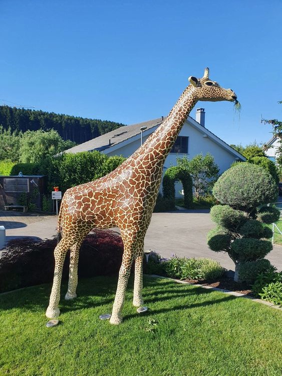GIRAFFE 2,3m selbst gemacht Einzelstück (Neu (gemäss Beschreibung)) in ...