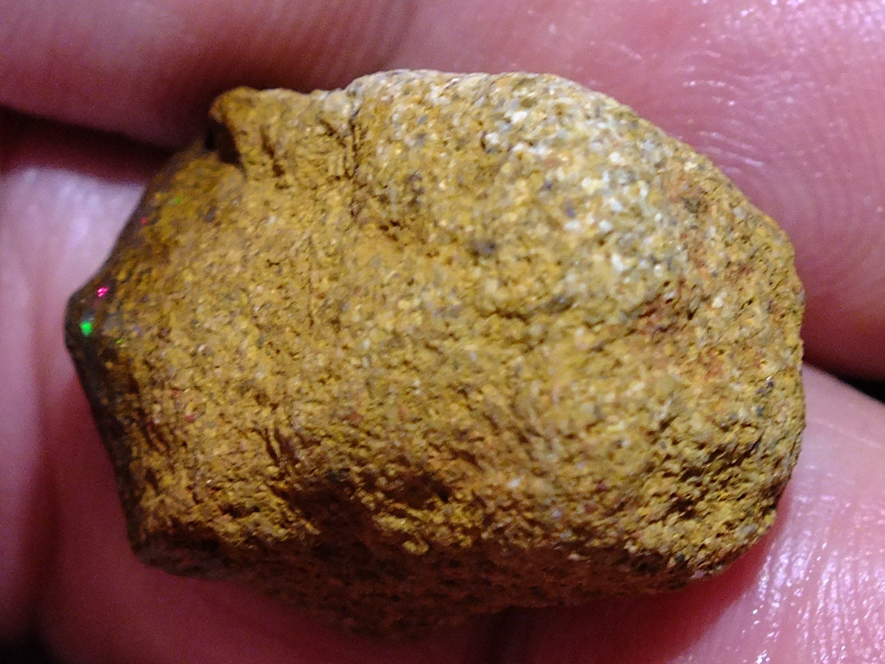 BOULDER ROH OPAL 23 Karat Gebot 1.- Elektrisch Rot Pin feuer (Neu und ...