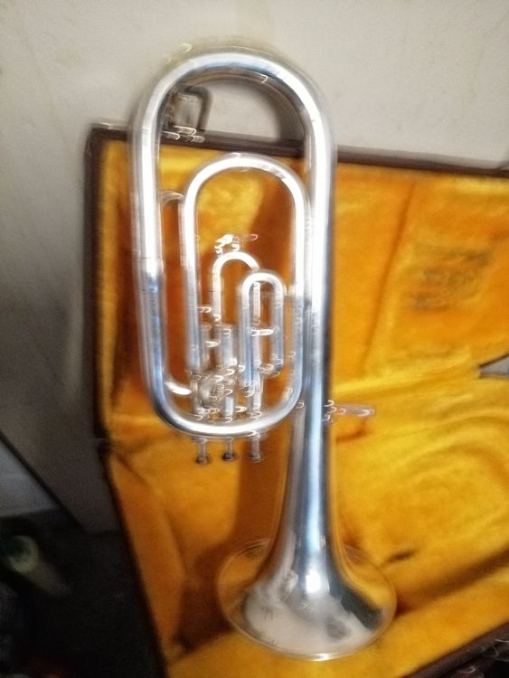 Es. Horn Antoine Curtois | Kaufen auf Ricardo