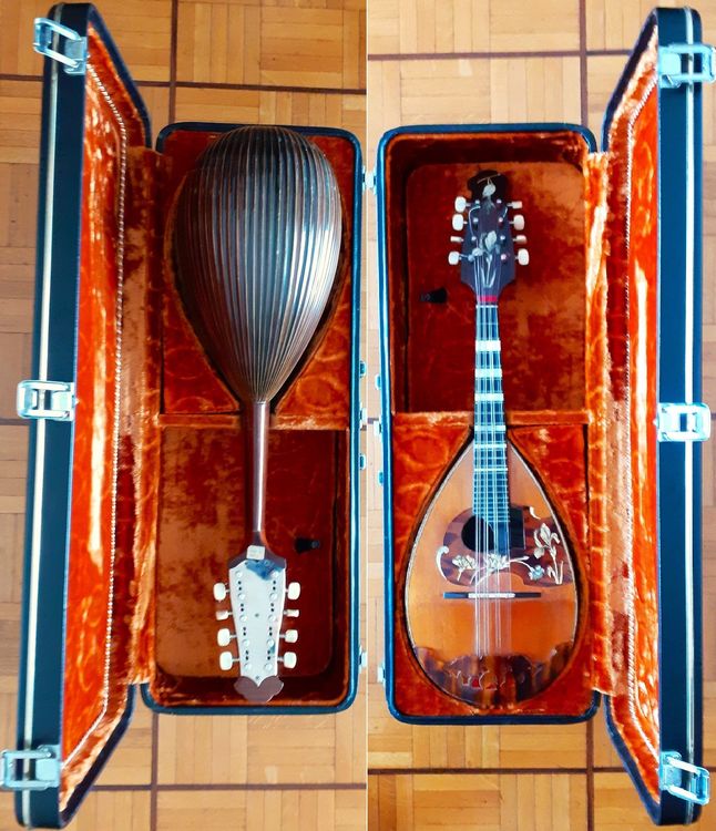 Mandolino R.CALACE 1975 incl. Fodero BELLISSIMO (Gebraucht) in Locarno ...