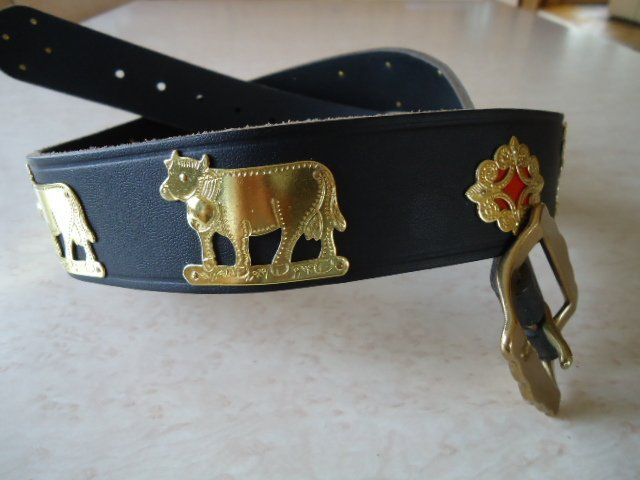 Appenzeller Chüeligurt Messing (Neu (gemäss Beschreibung)) in Stein AR ...