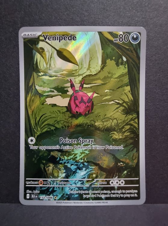 Pokémon Venipede Full Art 132/086 Black Bolt 🇬🇧 (Neu (gemäss ...