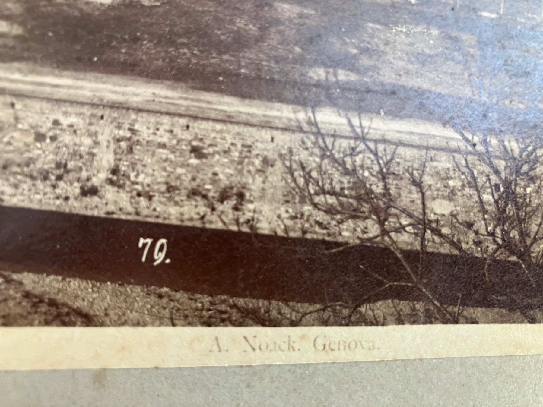 Albumin-Foto A. Noack Genova - Camposanto um 1880 - 22 x 28 (Gebraucht ...