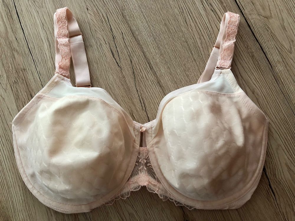 BH Triumph Florale rose 80F (Neu (gemäss Beschreibung)) in Gurmels für ...