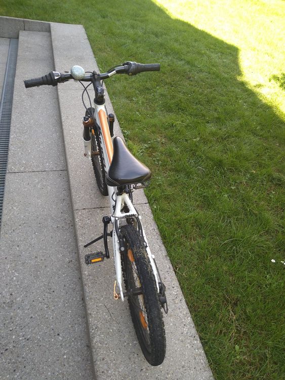 Wheeler 20 Zoll MTB Junior 200 | Kaufen auf Ricardo