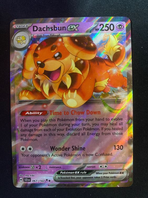 Dachsbun ex 67 - Backel ex - Stellar Crown - EN | Kaufen auf Ricardo