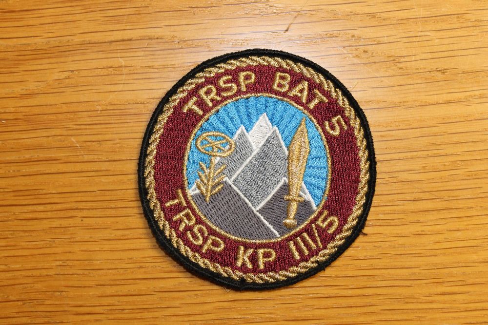 Trsp Bat 5, Trsp Kp III/5, gold- Badge (Gebraucht) in für CHF 2.5 – mit Lieferung auf Ricardo kaufen