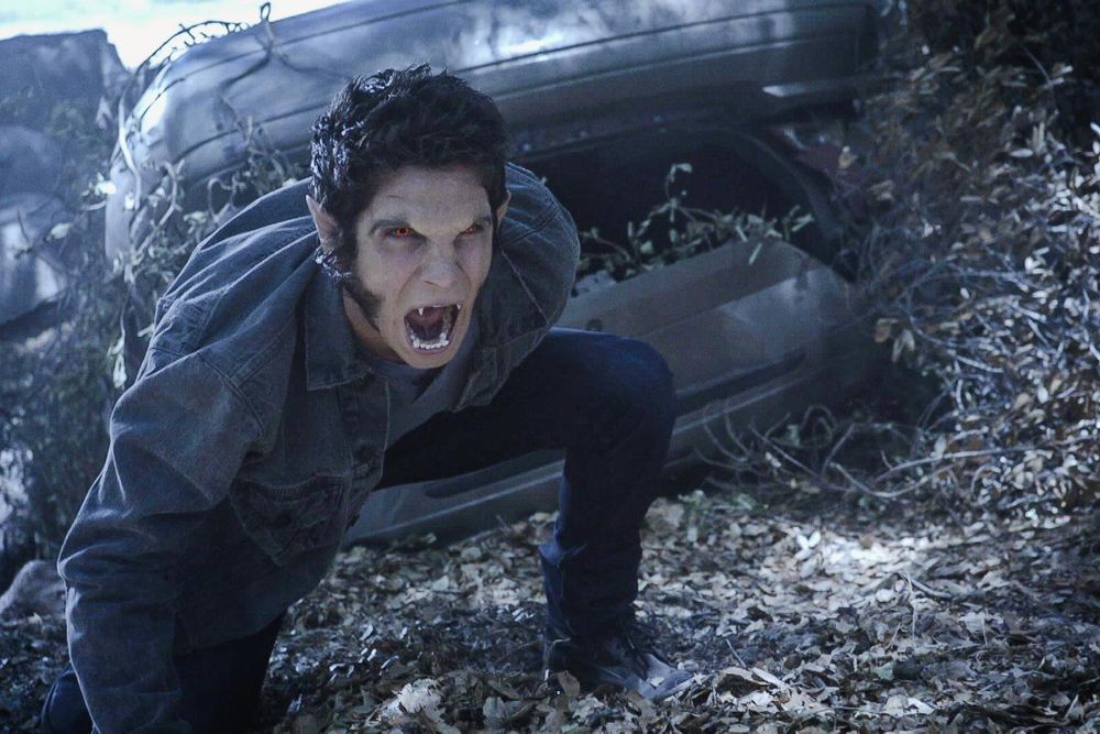 Teen Wolf - Die Komplette Staffel 3 - DVD (Gebraucht) in Volketswil für ...