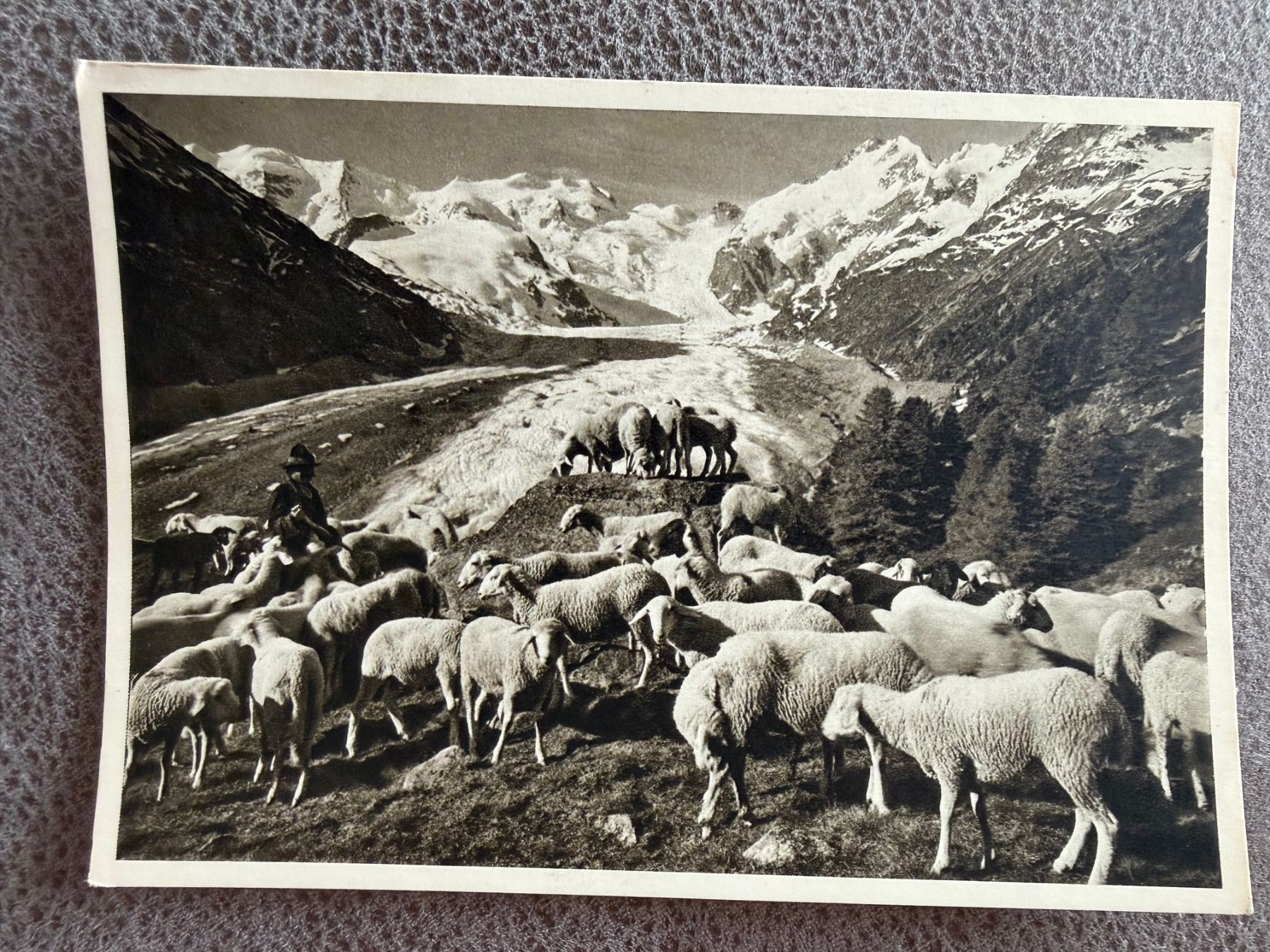 Albert Steiner St. Moritz, Bernina Gruppe, Puschlav, Engadin (Gebraucht ...
