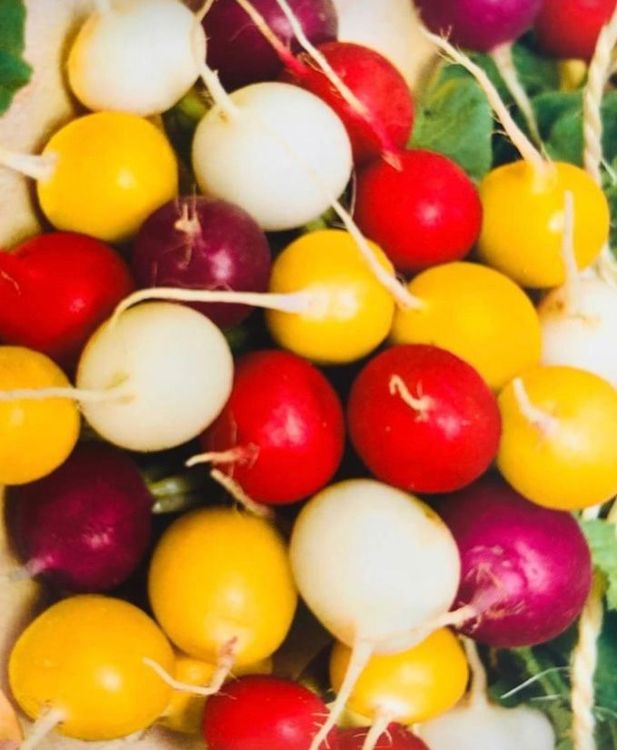 30 SAMEN GRAINES SEMI SEEDS SEMILLAS (Neu und originalverpackt) in für ...