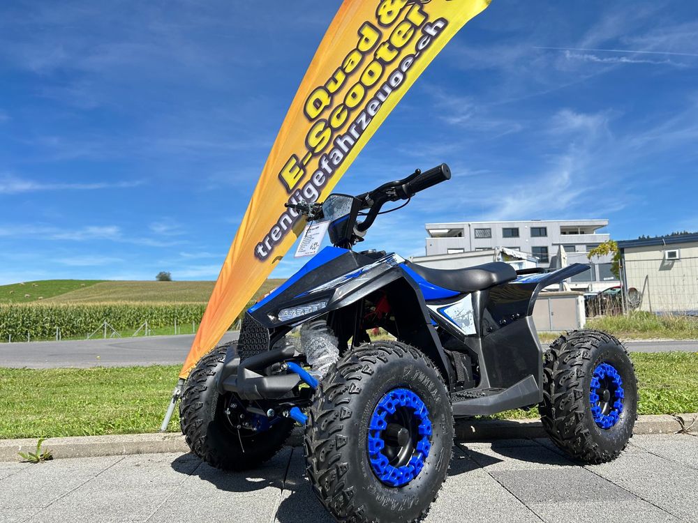 cooler ATV E- Quad Mini Moto 1060W Geschenk Idee , Weihnacht (Neu ...