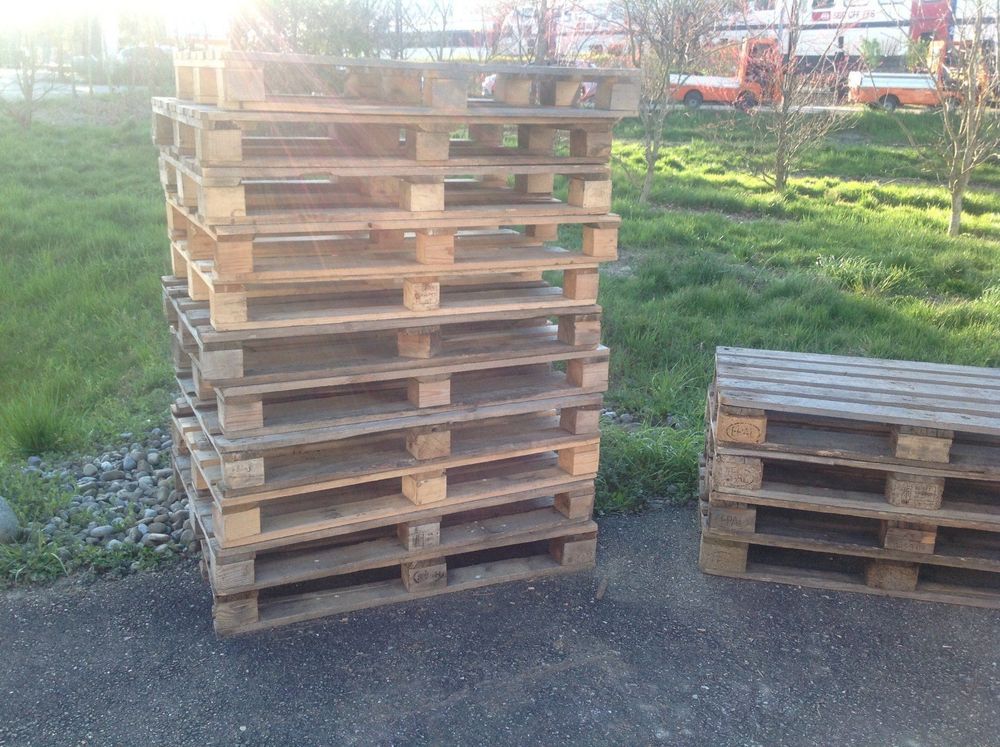 Einweg- Paletten guter Zustand (Gebraucht) in Oftringen für CHF 2 – nur ...