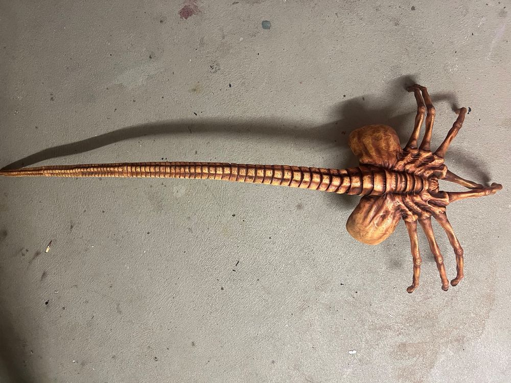 1:1 Facehugger Alien, HR Giger, Aliens, Predator Horror (Neu (gemäss ...
