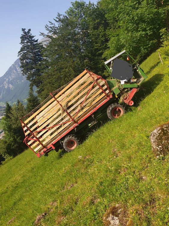Schilter LT 2 (Gebraucht) in Haslen GL für CHF 4000 – nur Abholung auf ...