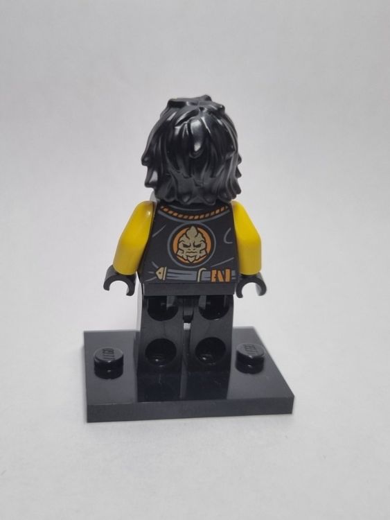 LEGO Ninjago njo575 Cole - Legacy, Rebooted, 'MANTER' Torso | Kaufen ...