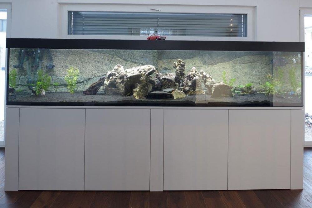 1400 Liter Aquarium - inkl. Möbel, Fische und Zubehör. (Gebraucht) in ...