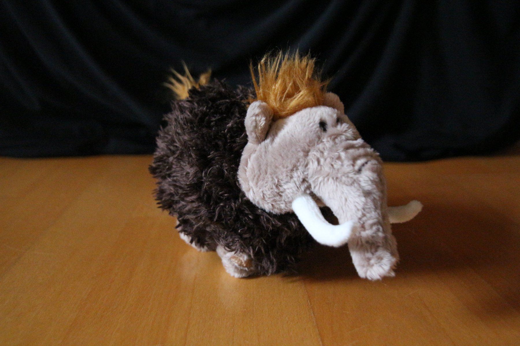 Nici Mammut (Neu (gemäss Beschreibung)) in Eschlikon TG für CHF 13 ...