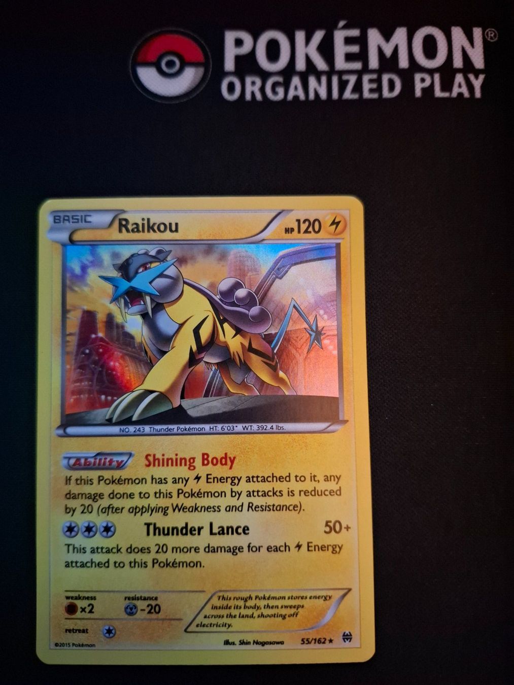 Pokemon Raikou Holo 55/162 TURBOstart (Gebraucht) in Gammen für CHF 6.5 ...