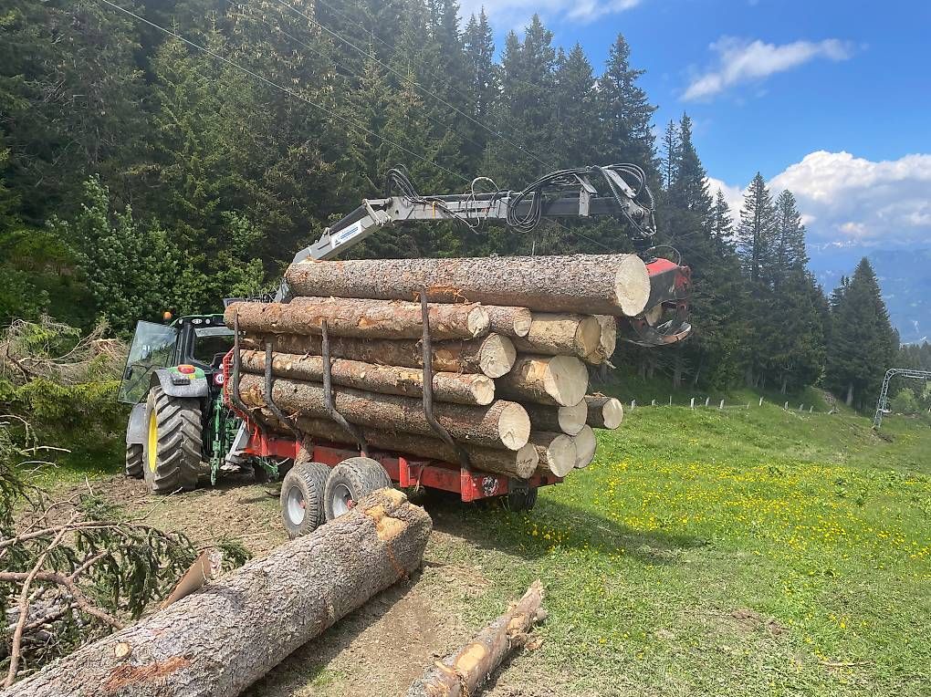 Forstanhänger Kranwagen (Gebraucht) in Malix für CHF 21000 – nur Abholung auf Ricardo kaufen