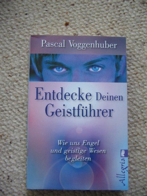 Entdecke deinen Geistführer Pascal Voggenhuber (Gebraucht) in Reitnau für CHF 1.2 – mit ...