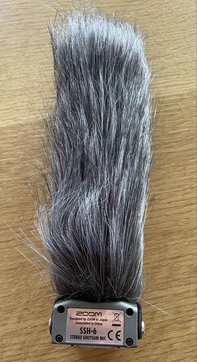 Zoom SSH-6 Stereo Shotgun Mikrofon - Top Zustand! (Gebraucht) in Toffen ...