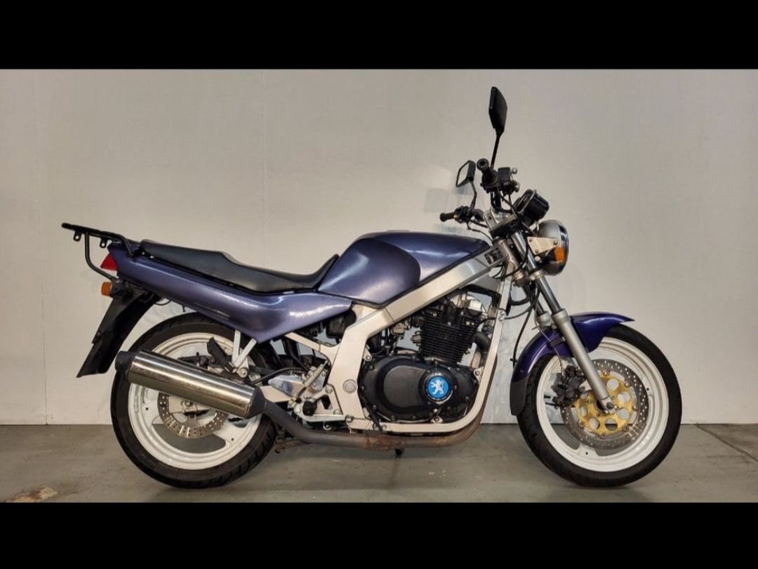 Suzuki GS 500 E mit MFK 08.24 (D'occasion) à Tagelswangen pour CHF 1000 ...