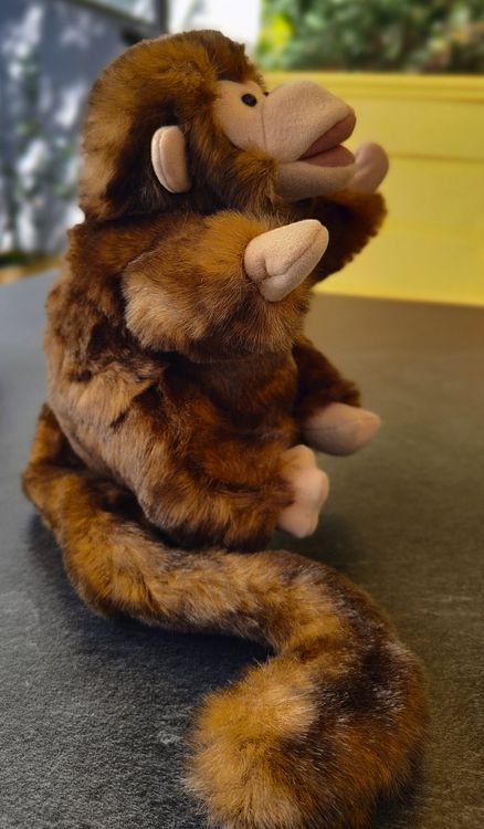 Handpuppe Affe der Marke Folkmanis (Neu (gemäss Beschreibung)) in ...