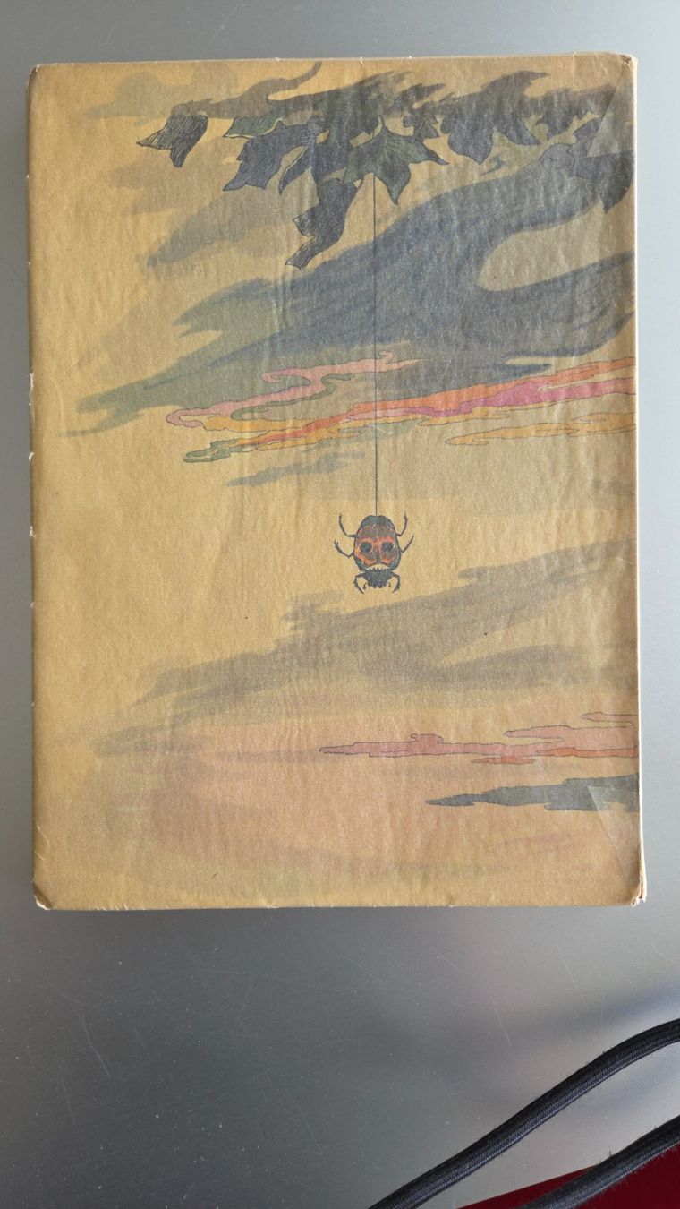 Buch: Edgar Poe Le Scarabée d'or, Illustrations Rochegrosse (D'occasion ...