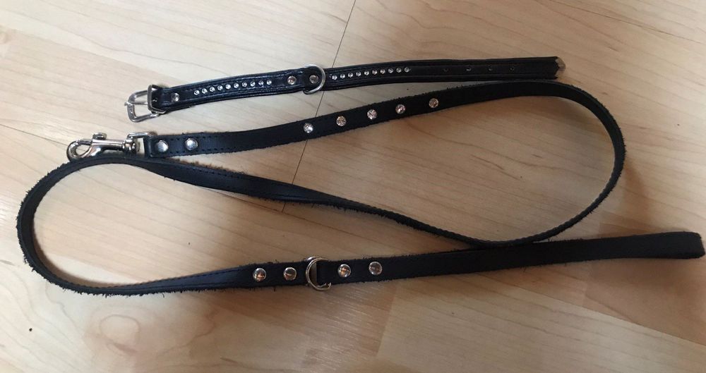 Halsband und Leine (Gebraucht) in Hirzel für CHF 25 – mit Lieferung auf ...