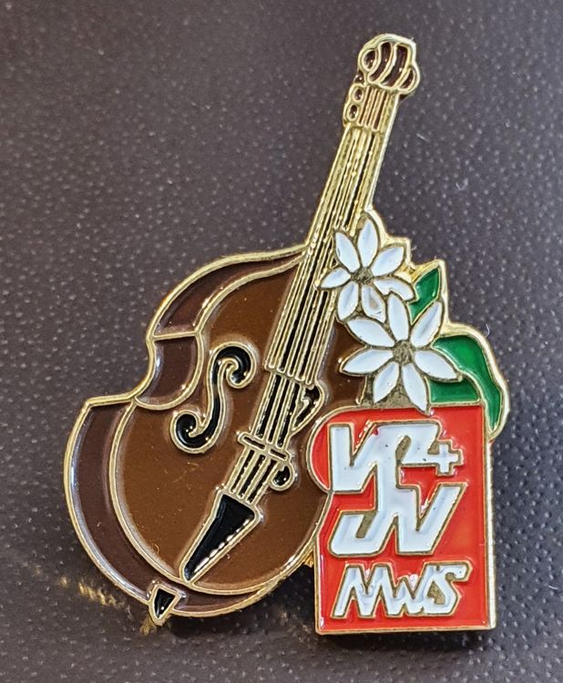 S000 - Pin Bassgeige NWS Nordwestschweizer Jodlerverband (Gebraucht) in ...