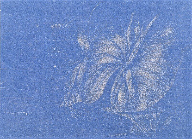 Franz Gertsch . | Kaufen auf Ricardo