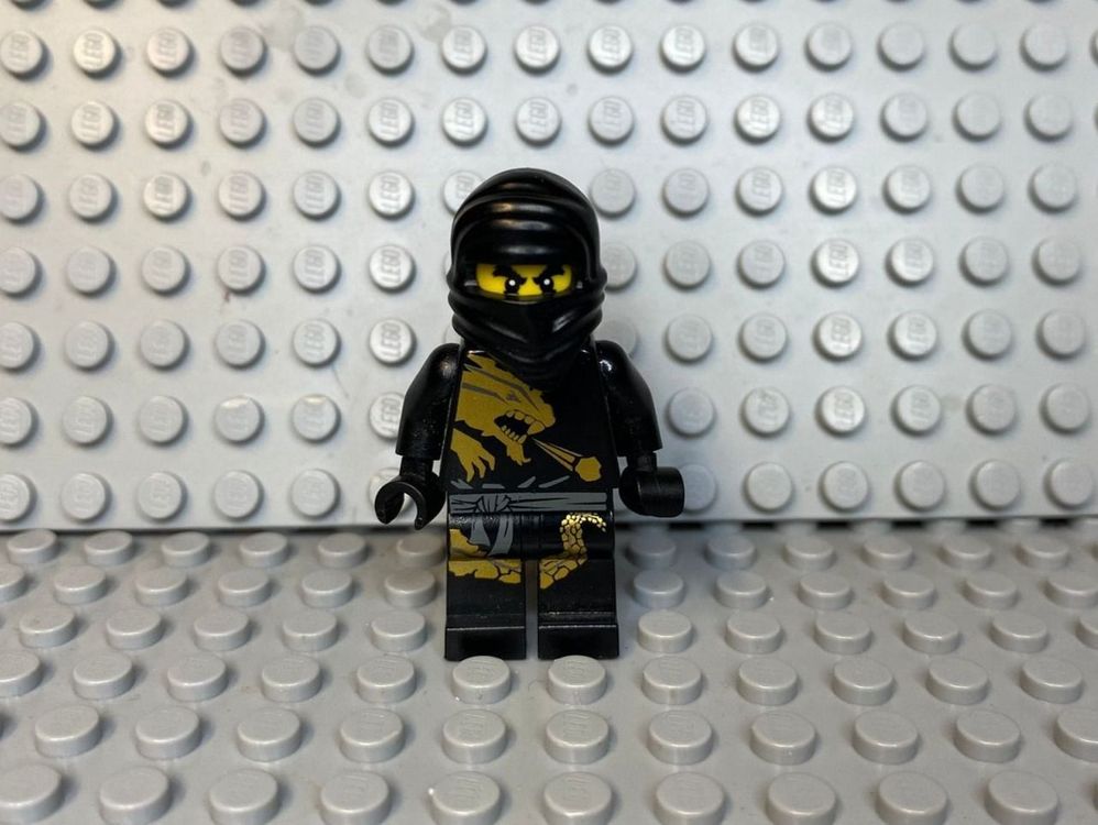 Lego Ninjago NJO015: Cole DX (Gebraucht) in Schlatt TG für CHF 6 – mit ...