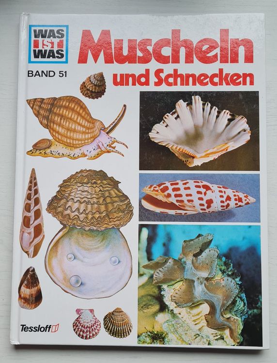 WAS IST WAS - Muscheln und Schnecken - Band 51 | Kaufen auf Ricardo WAS IST WAS - Muscheln und Schnecken - Band 51 | Kaufen auf Ricardo