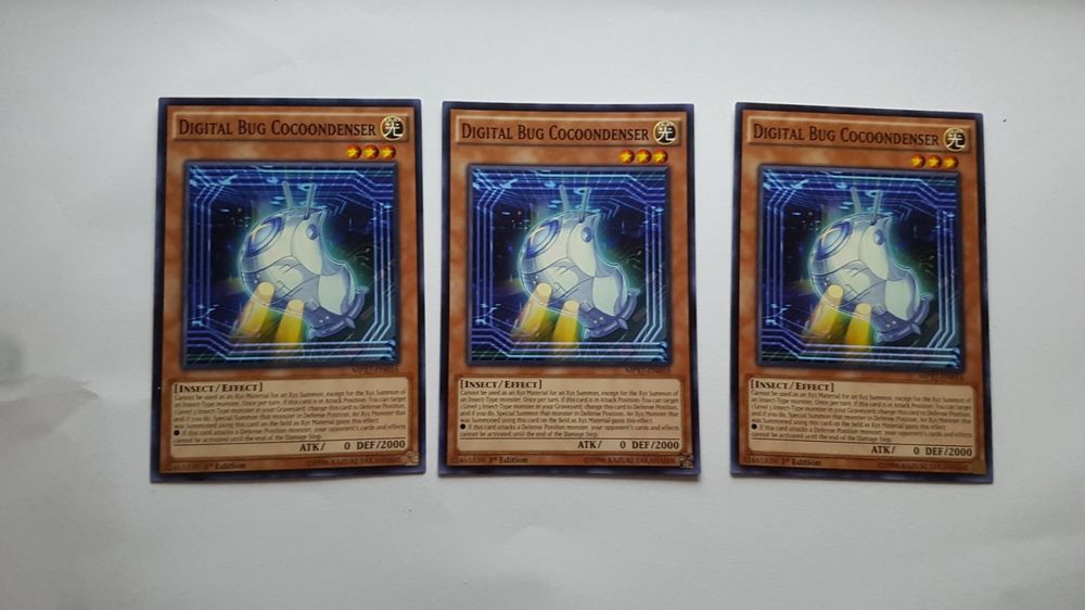 Digitalkäfer Kokondenser MP17-EN016 Common 1. Auflage ENGLIS | Kaufen auf Ricardo