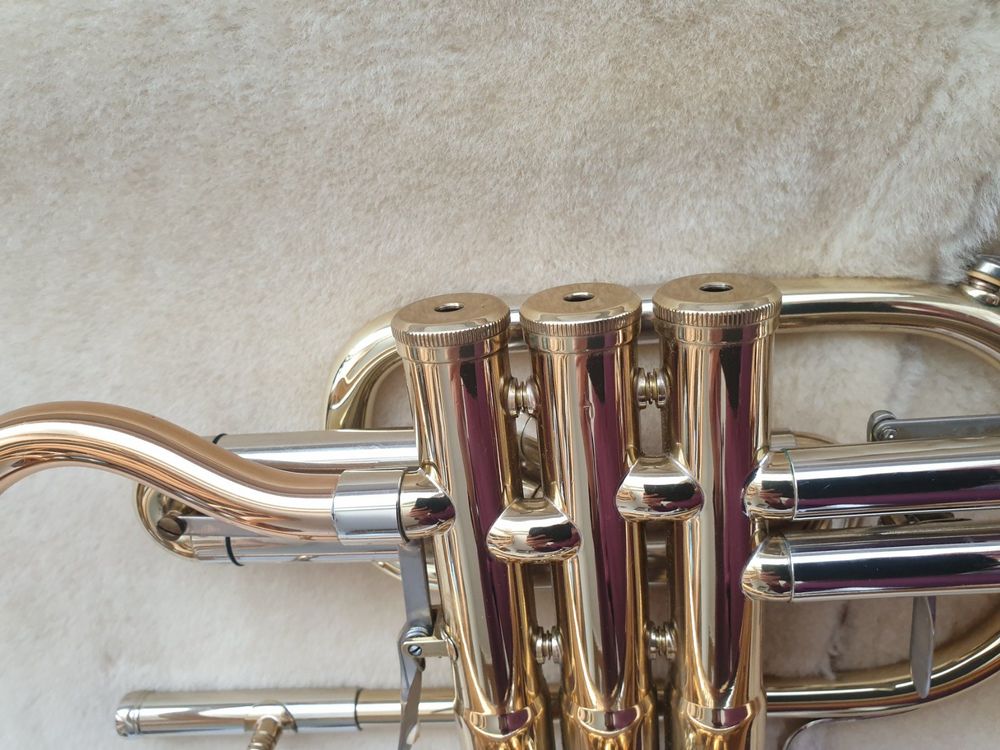 BESSON 928 GS sovereign Kornett (Gebraucht) in Bellach für CHF 836 ...