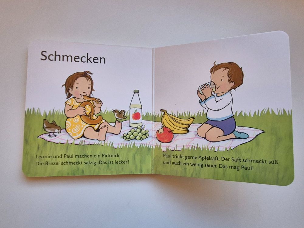 DUDEN 12+ - Alle meine Sinne (Gebraucht) in Niederweningen für CHF 4 ...