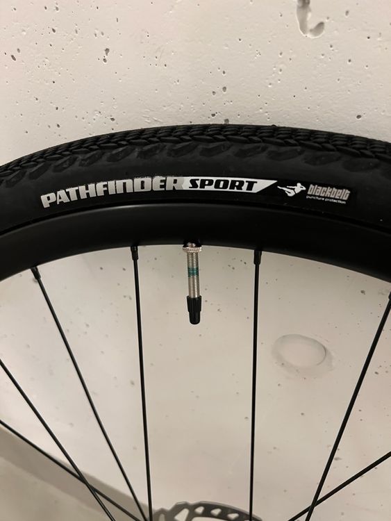 Specialized Axis Elite Gravel Laufradsatz mit Reifen NEU (Neu (gemäss ...