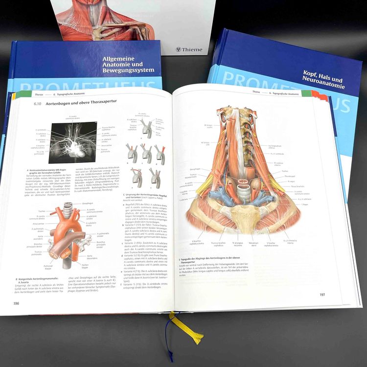 Prometheus Lernatlas der Anatomie neuwertig top Zustand (Neu (gemäss ...