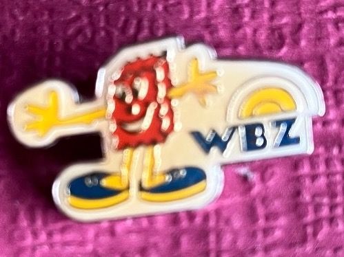 WBZ Pin | Kaufen auf Ricardo