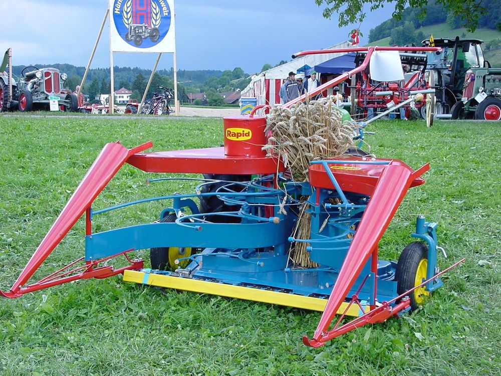 Rapid Emblem | Kaufen auf Ricardo