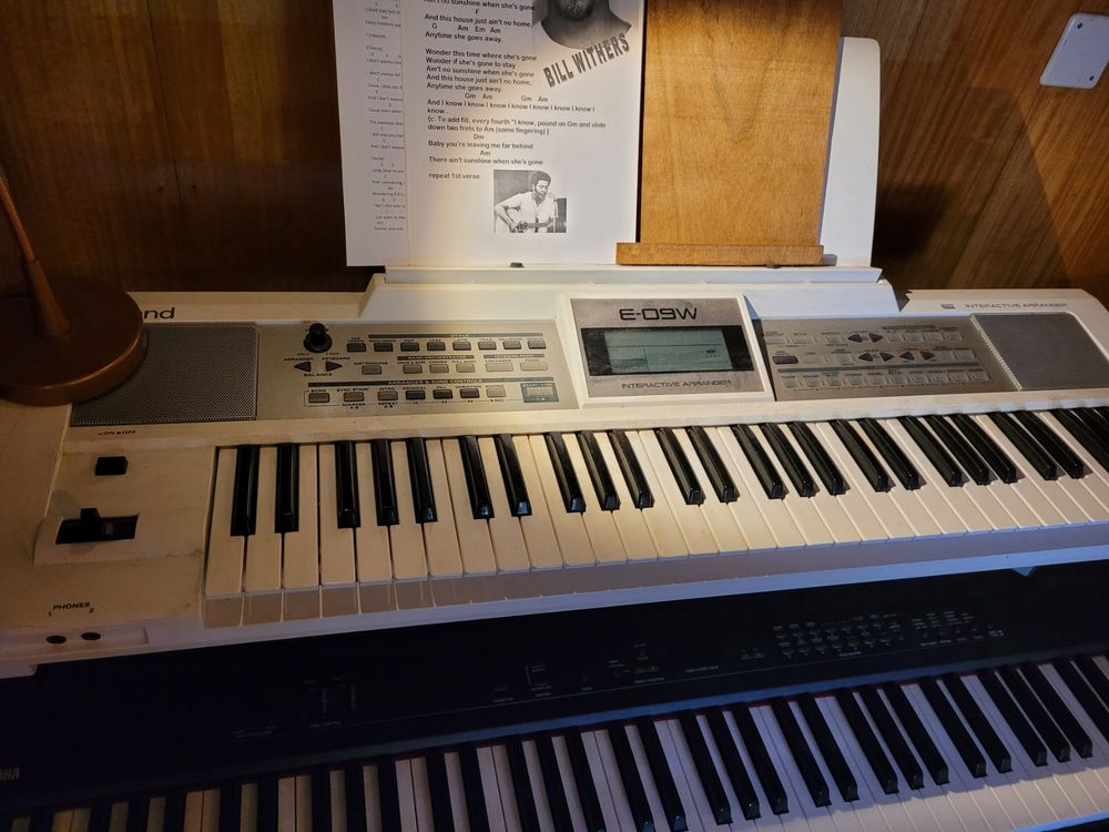 Roland E-09W Interactive Arranger Keyboard (Gebraucht) in Othmarsingen ...