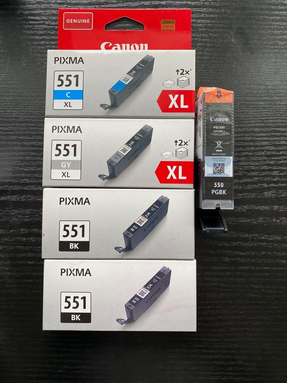 Canon Ink Tank CLI-551 / PGBK 550 (Gebraucht) in Ernetschwil für CHF 25 ...