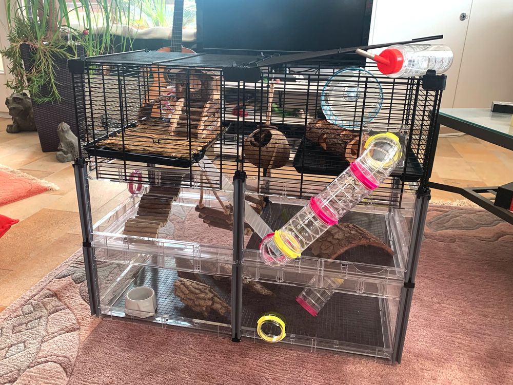 Hamsterheim, Mäusekäfig MULTIPLA Crystal Large XXL - wie neu (Neu ...