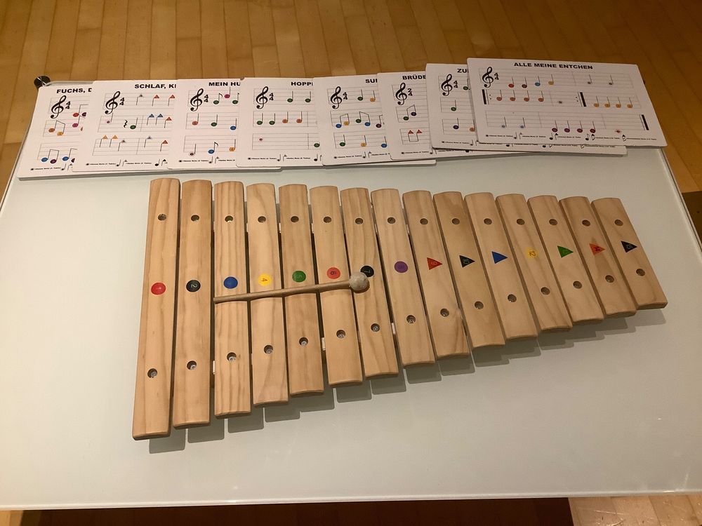 Xylophon aus Holz (Gebraucht) in Montlingen für CHF 21 – nur Abholung ...
