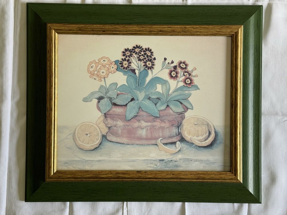 Picture Frame Lemons & Auriculas by Alexandra Churchill (Gebraucht) in ...