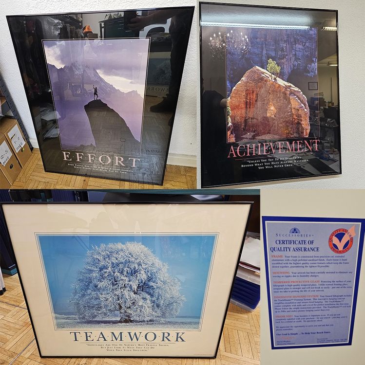 3x Original Successories «Motivational Quote» Bilder Gerahmt (Gebraucht ...