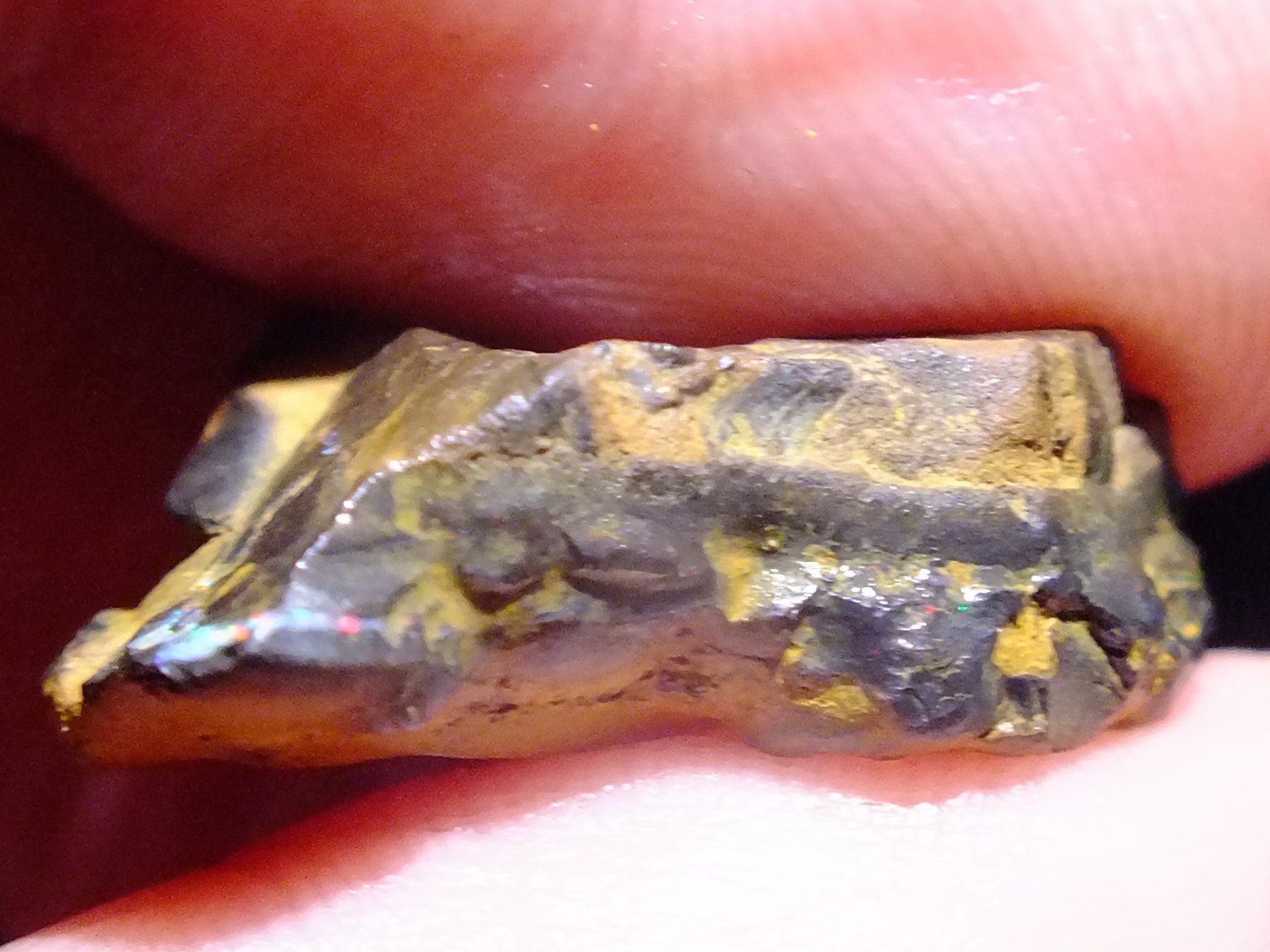 BOULDER ROH OPAL 15 Karat Gebot 1.- Elektrisch Rot Pin feuer (Neu und ...