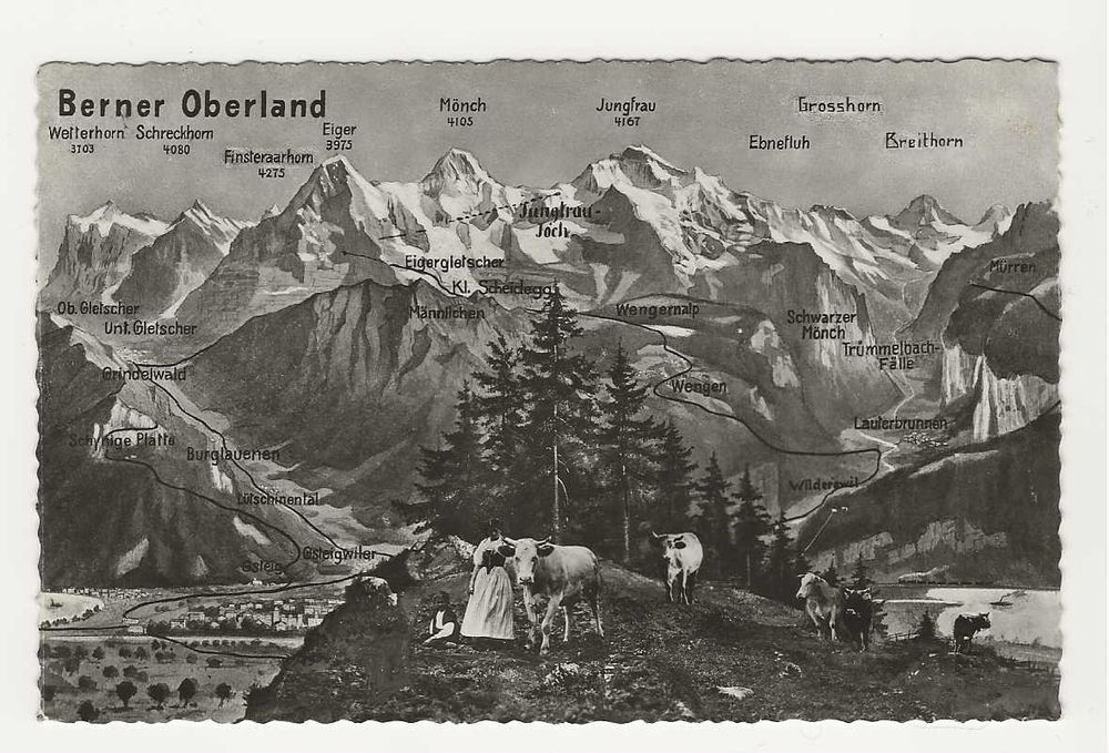 Vintage Postkarte Berner Oberland, Kühe, Berge, Schweiz (Gebraucht) in Küttigen für CHF 1 – mit ...