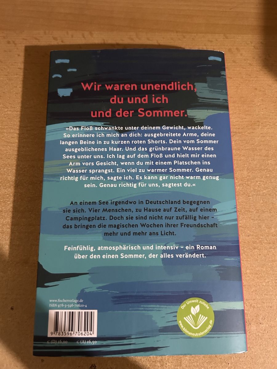 Kristina Pfister: Ein unendlich kurzer Sommer – Roman (Gebraucht) in ...